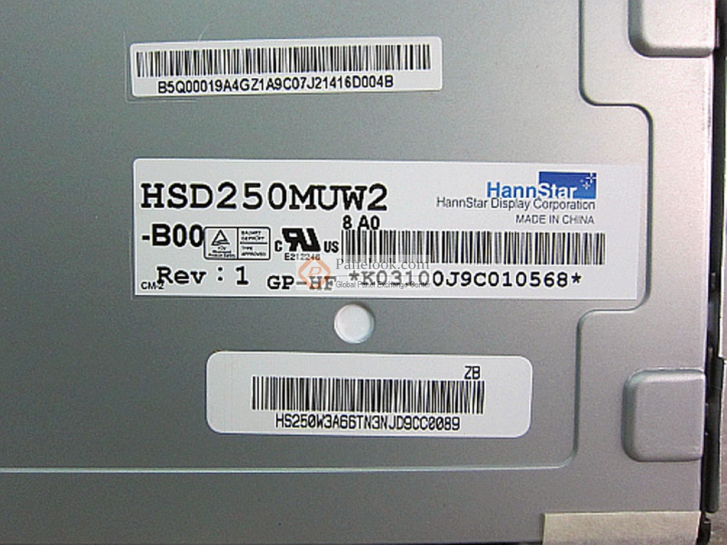 HannStar HSD250MUW2-B00 Overview - Panelook.com