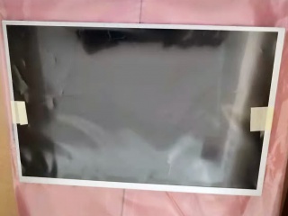 AUO G101EAN02.2 Overview - Panelook.com