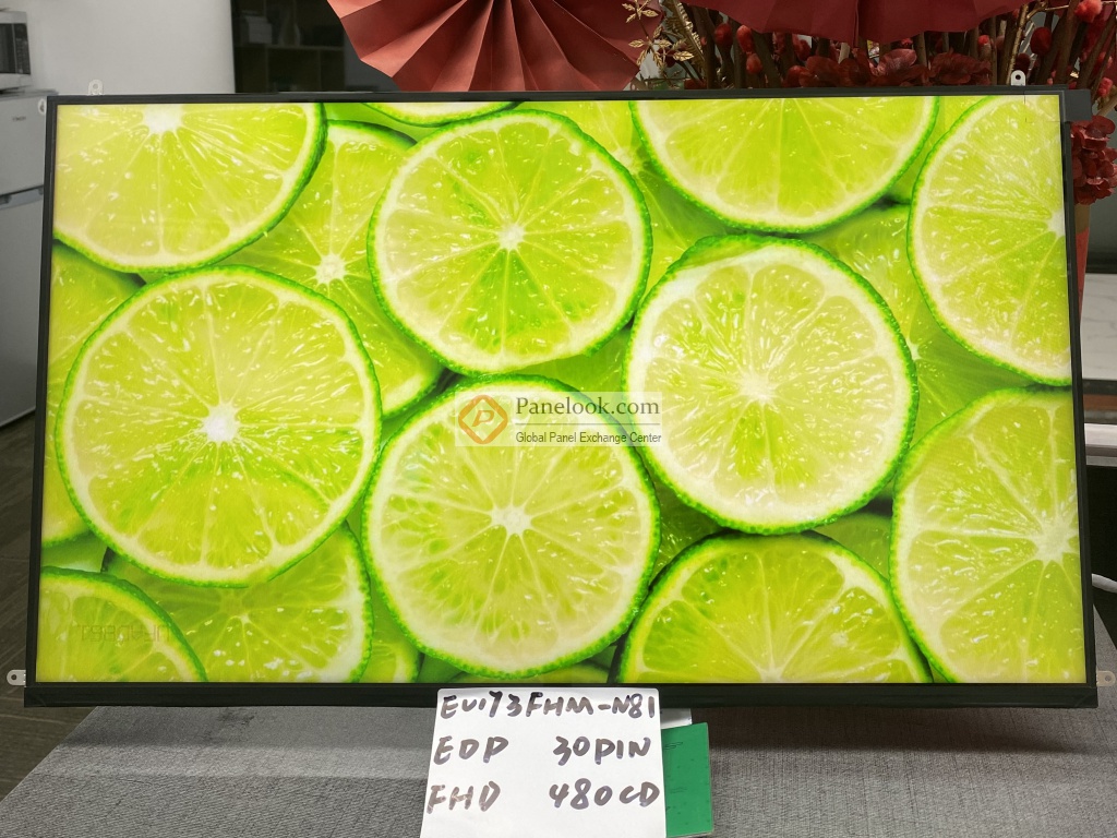 BOE EV173FHM-N81 Overview - Panelook.com