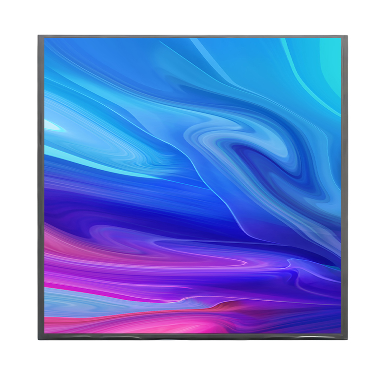 AML17019201920-01 17 inch 1920 * 1920 resolution eDP interface 600nit ...