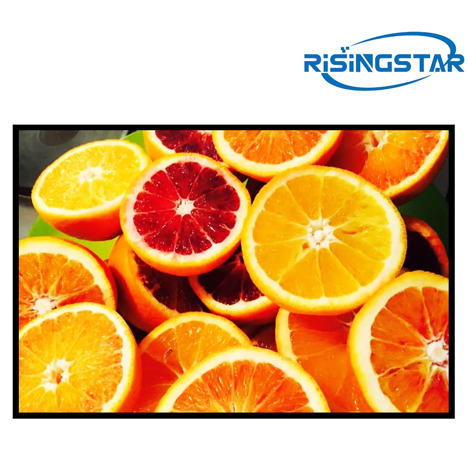 RS490ENT-ND30 RisingStar 49" 3000 Nits Wide Temperature Hi-Tni High ...