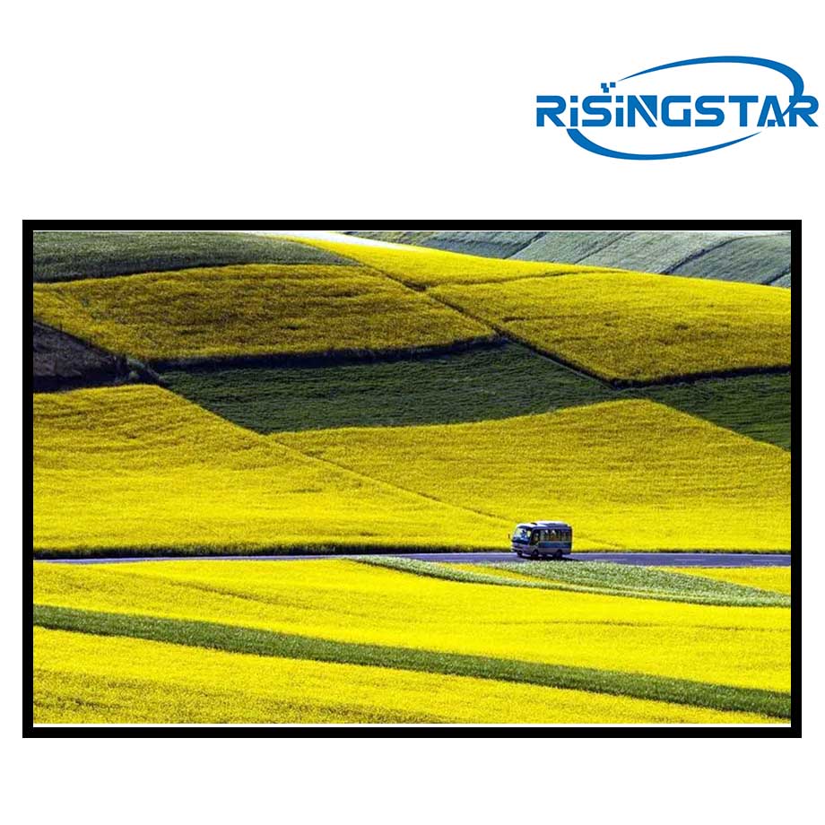 RS650ENT-ND12 65 inch 1200 nits High Brightness LCD Display Module ...