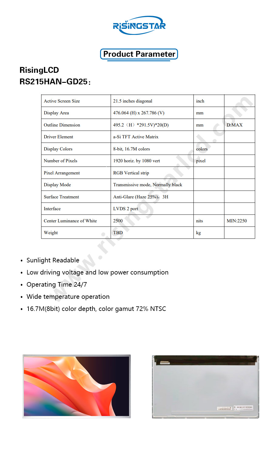 RS215HAN-GD25 RisingStar 21.5" 2500 Nits Outdoor High Brightness ...