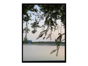 SA080WPV-M71 8"HDLCD IPS Hard Screen 700 Brightness 800x1280 Resolution ...