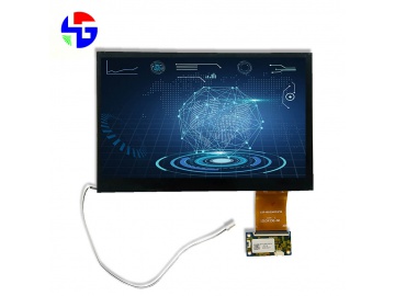 HG101WX021T01 10.1 inch TFT LCD Panel, IPS Display, 40PINS, LVDS, 1000 ...